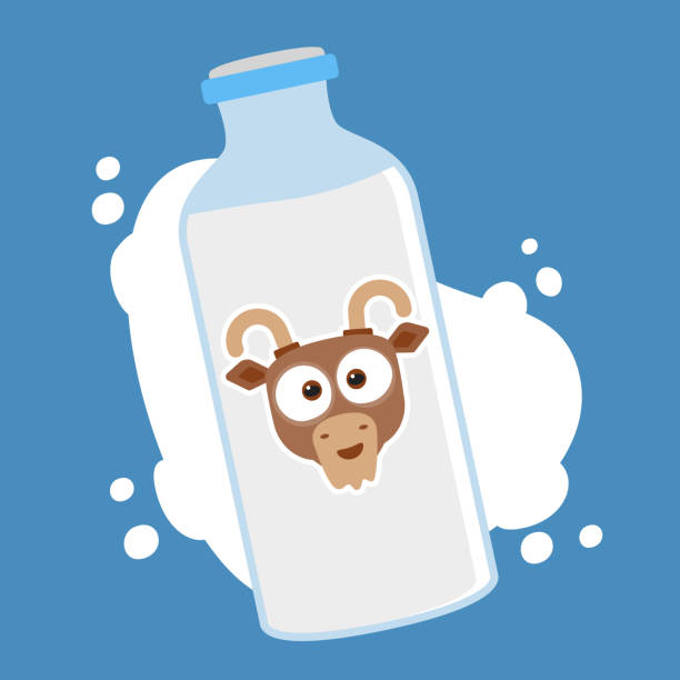 News information | aligo.com.kh