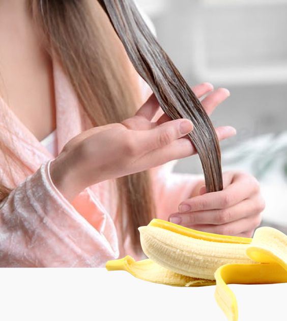 News information | aligo.com.kh