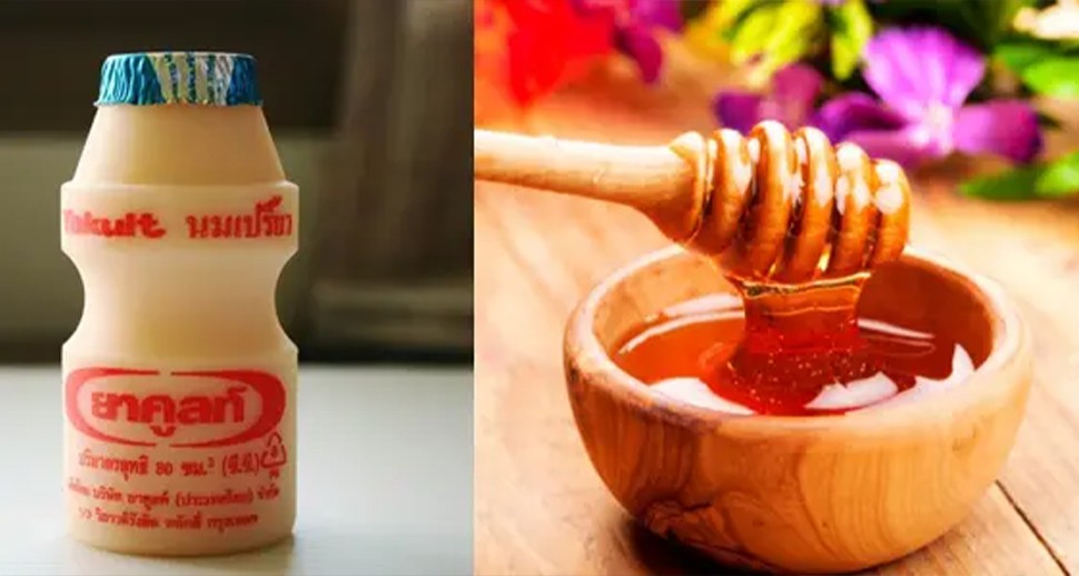 News information | aligo.com.kh