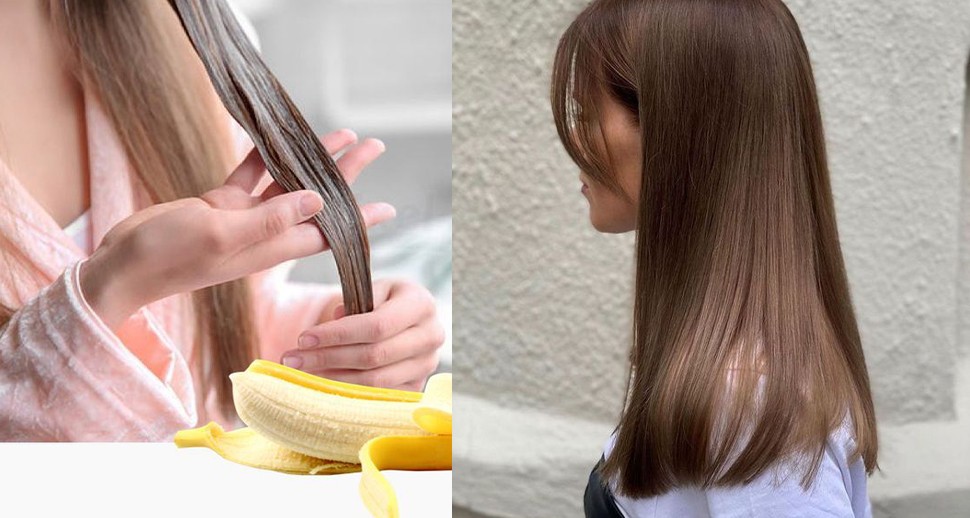 News information | aligo.com.kh