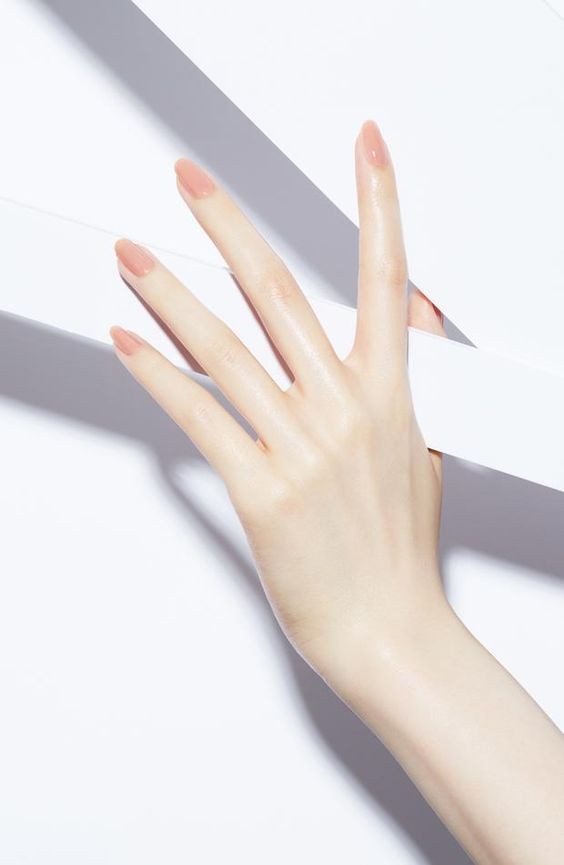 News information | aligo.com.kh