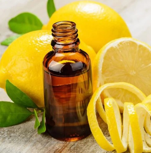 News information | aligo.com.kh